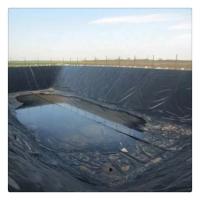 China HDPE Geomembrane 1mm 2mm Waterproof Liner for Pond Dam Fish Farm Tank Lining for sale