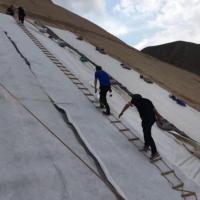 China density Polyethylene Plastic Geotextile and Geonet 3D Composite Drainage Net Ideal for sale