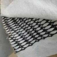 China 3D Composite Drainage Geonet 7mm Thick for Landfill and Municipal Works for sale