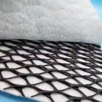 China 3D Composite Geonet for Drainage in Landfill Roadbed Slope Protection 7mm Thickness for sale