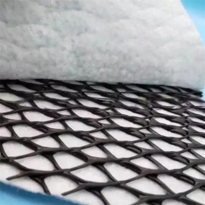 China 3D Composite Geonet for Drainage in Landfill Roadbed Slope Protection 7mm Thickness for sale