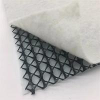 China 3D Composite Geonet for Drainage in Landfill Roadbed Slope Protection 7mm Thickness for sale