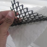 China Payment T/T 3D Composite Drainage Geonet for Drainage in Office Building Construction for sale