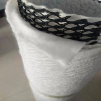 China Payment T/T 3D Composite Drainage Geonet for Drainage in Office Building Construction for sale
