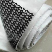 China Payment T/T 3D Composite Drainage Geonet for Drainage in Office Building Construction for sale