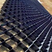 China HDPE Geocell 100mm Cell Depth 330mm Weld Spacing for Driveway Soil Stabilization for sale