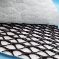 China HDPE 3D Composite Drainage Geonet 50m 100m Length Black White for Road Base for sale