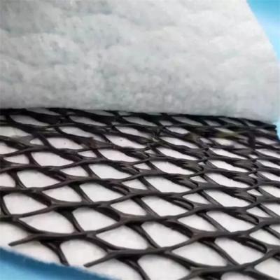 China HDPE 3D Composite Drainage Geonet 50m 100m Length Black White for Road Base for sale