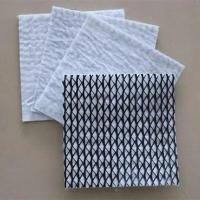 China HDPE 3D Composite Drainage Geonet 50m 100m Length Black White for Road Base for sale