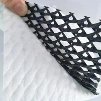 China High Density Polyethylene Composite Geonet 7mm Road Drainage Solution 3000Ka for sale