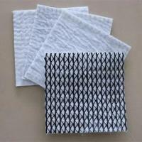 China Black White 3D Composite Drainage Geonet for Rapid Construction and Soil Stabilization for sale