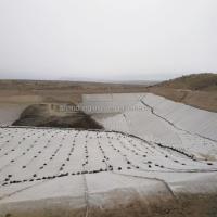 China Composite Drainage Net 50m 100m for Landfill Roadbed CE ISO9001 Certified for sale