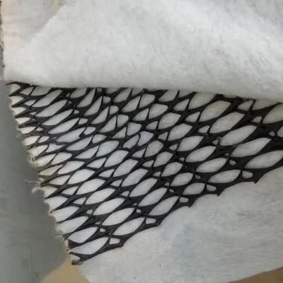 China 3D Plastic Geocomposite Drain Net 7mm Thickness for Tunnel Dam Rainwater Drainage for sale
