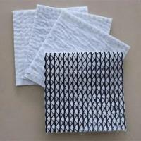 China 3D Plastic Geocomposite Drain Net 7mm Thickness for Tunnel Dam Rainwater Drainage for sale