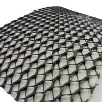 China 3D Plastic Geocomposite Drain Net 7mm Thickness for Tunnel Dam Rainwater Drainage for sale