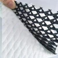 China Rapid Construction 3D Plastic Drainage Geocomposite Geonet 8mm x 6mm with Long Fiber Geotextile for sale