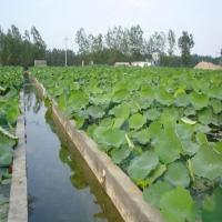 China HDPE Geomembrane Pond Liner 1mm Smooth Black Geomembrane Sheet for Aquaculture for sale