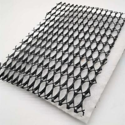 China HDPE 3D Salt Barrier Drainage Geonet Geocomposite 7mm Thickness 3000kPa Load for sale
