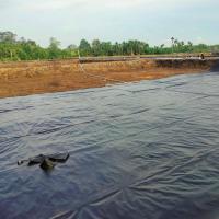 China 2mm HDPE Geomembrane Fish Tank Liner with Onsite Training and After-Sale Service for sale