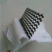 China Online Technical Support for 5mm Drainage Network in 3D Composite Drainage Geonet for sale