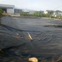 China ASTM GRI-GM13 HDPE Geomembrane Liner 0.3mm to 1mm for Fish Ponds and Farm Tanks for sale