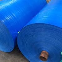 China Waterproof HDPE Tarpaulin Sheet 50-300gsm for Truck Boat Cover Anti-UV Tear-Resistant for sale