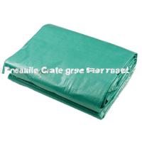 China PE Coated Rainproof Tarpaulin 100-200gsm Waterproof Heavy Duty Outdoor Cover 2-12m Width for sale