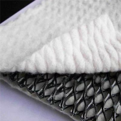 China 3D Composite Drainage Network 8mm for Railway Water Draining HDPE Geotextile Drain Board 50m Length for sale