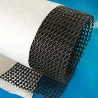 China 3D Composite Drainage Network 8mm for Railway Water Draining HDPE Geotextile Drain Board 50m Length for sale