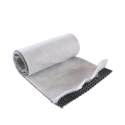 China 3D Composite Drainage Network 4m Width HDPE Geotextile Drainage Board for Highway and Landfill for sale