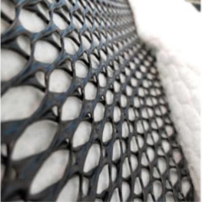China density Polyethylene Plastic 3D Composite Drainage Network 7mm for Tunnel Drainage for sale