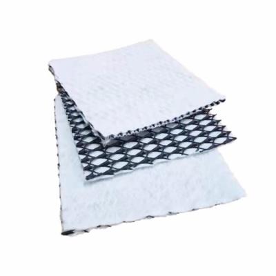China 3D Composite Drainage Network 6mm The Ultimate Drainage Solution for Landfill Sites for sale