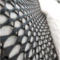 China 7mm Prefabricated Composite Drainage Geonet for Density Polyethylene Plastic Landfill for sale