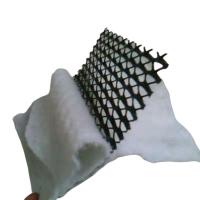 China 5mm HDPE 3D Composite Drainage Geonet 1200g for Landfill Drainage System for sale