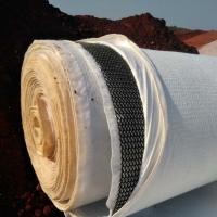 China 6mm Thickness Composite Drainage Geonet HDPE Geotextile Drain Board 4m Width 50m Length for sale