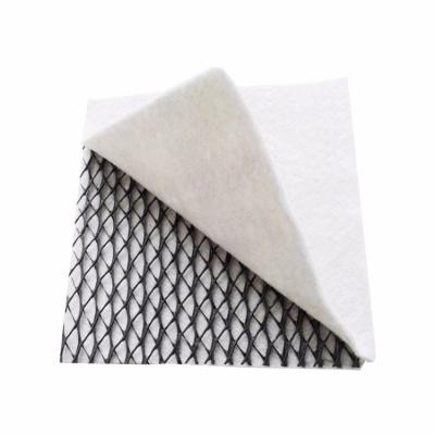 China Composite Drainage Geonet with Geotextile 8mm Thickness Black White 4m Width HDPE Drainage Board for sale