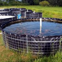 China 0.5mm Black HDPE Geomembrane for Fish Farming Long-Lasting and Environmentally Friendly for sale