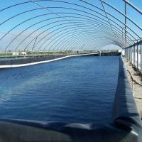 China 0.5mm Black HDPE Geomembrane for Fish Farming Long-Lasting and Environmentally Friendly for sale