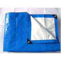 China HDPE LDPE Coated Waterproof Anti-UV Tarpaulin 50-300gsm 2m-100m Width for sale