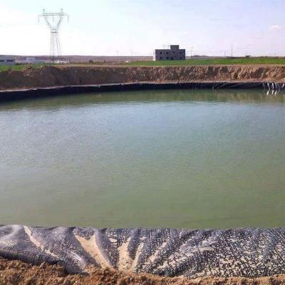 China 1m-8m Width Fish Tank Dam Pond Liner with HDPE Geomembrane and Double Smooth Surface for sale