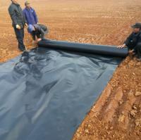 China Customizable HDPE Geomembrane Liner 0.5mm 0.75mm 1mm for Total Project Solutions for sale