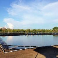 China HDPE Geomembrane Liner 0.75mm-3.0mm for Landfill Aquaculture Pond Lake for sale
