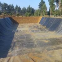 China HDPE Smooth Pond Liner 1mm 2mm Geomembrane Waterproof Sheet for Fish Farm Aquaculture for sale