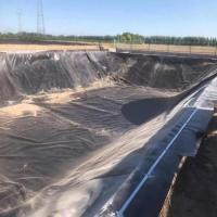 China HDPE Geomembrane Sheet 1.5mm Fish Farm Pond Liner Black Green Blue White Anti-UV for sale