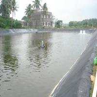 China HDPE Geomembrane Fish Farm Pond Liner 1.5mm Thickness Anti-UV Seepage Control for sale