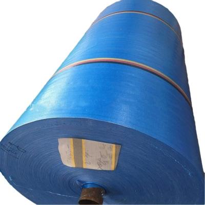 China Blue Sun Proof Rainproof PE Tarpaulin 2-12m Width Coated Polyethylene Tarpaulin for sale