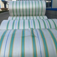 China Heavy Duty PE Tarpaulin 500D-1500D UV Resistant Canvas for Roof Protection for sale