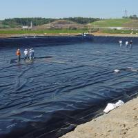 China HDPE Geomembrane Liner 1mm 2mm Waterproof for Fish Farm Pond Aquaculture for sale