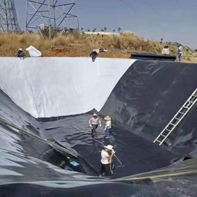 China 0.5mm HDPE Glossy Geomembrane for Shrimp Farming Pond Liner Custom Black for sale