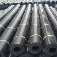 China PE Geomembrane Liner 0.5mm-2.0mm Fish Pond Waterproofing Membrane 10-Year Service Life for sale
